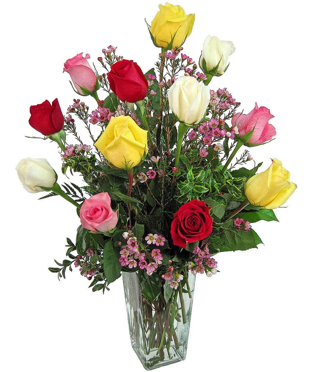 Multi Color Dozen Roses | Zeidler's Flowers