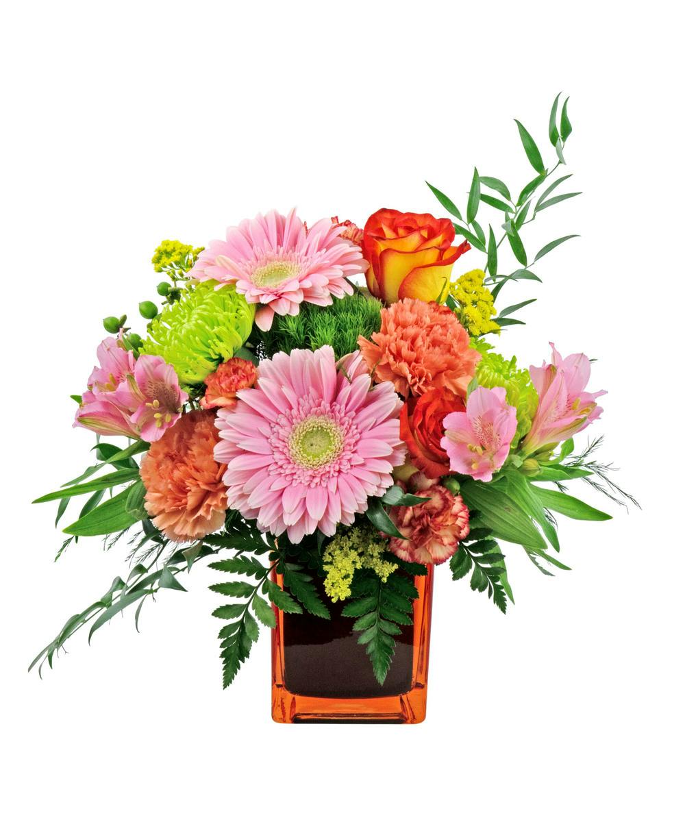 Signature Collection | Zeidler's Flowers Evansville Indiana