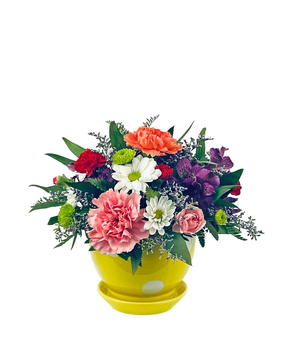 Playful Polka Dots Arrangement | Zeidler's Flowers